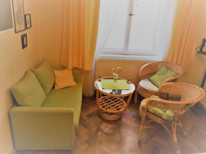 Lovely Apartman In The Centre, Next To Petrin - Praga