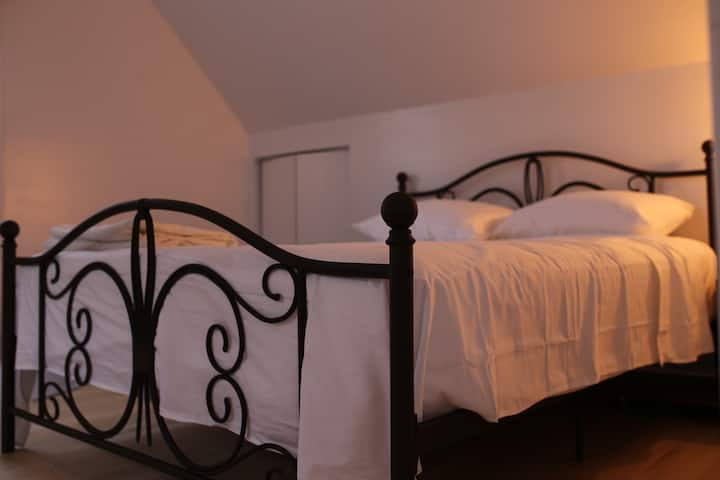 Beautiful Spacious Apartment, Close To Downtown - Ottawa