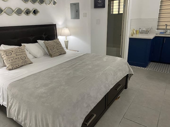 Kings Escape Studio 3 - Kingston