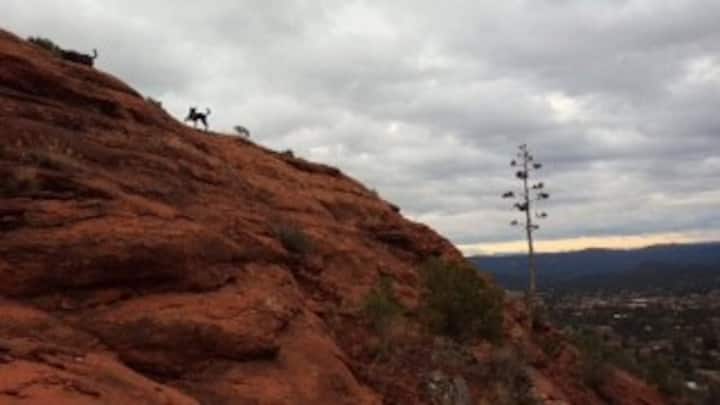 Hike, Bike & Walk To Trails~west Sedona - Sedona, AZ