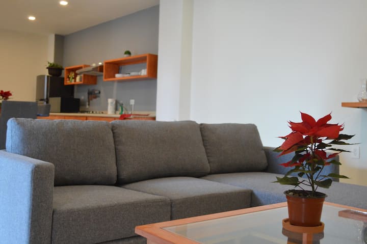 Departamento Ilustre - Fresnillo