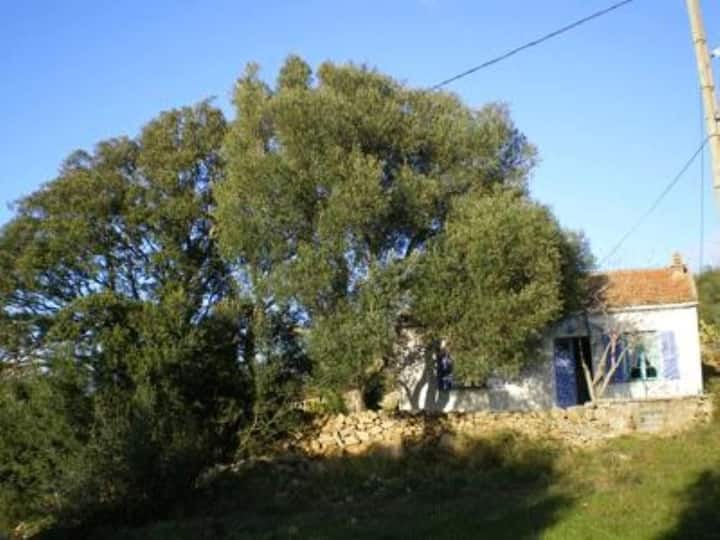 Petite Maison Calme Avec Jardin - Tizzano