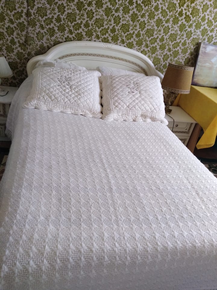 Chambre Agréable Au Calme/maison Jardin - Orléans