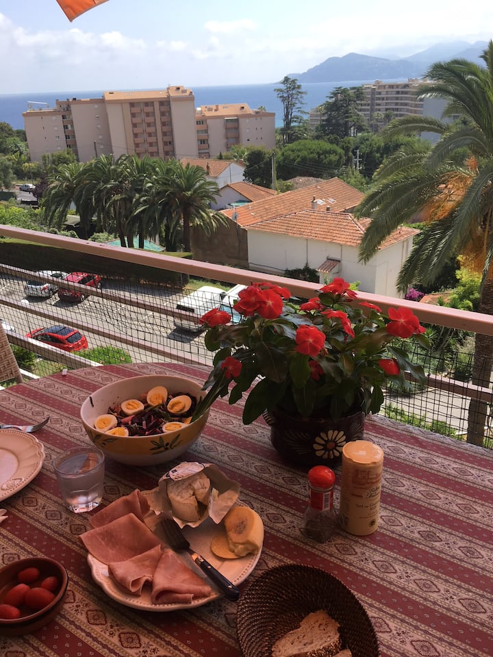 Cannes, Bel Appartement, Vue Magnifique. Lits 4 P. - Cannes
