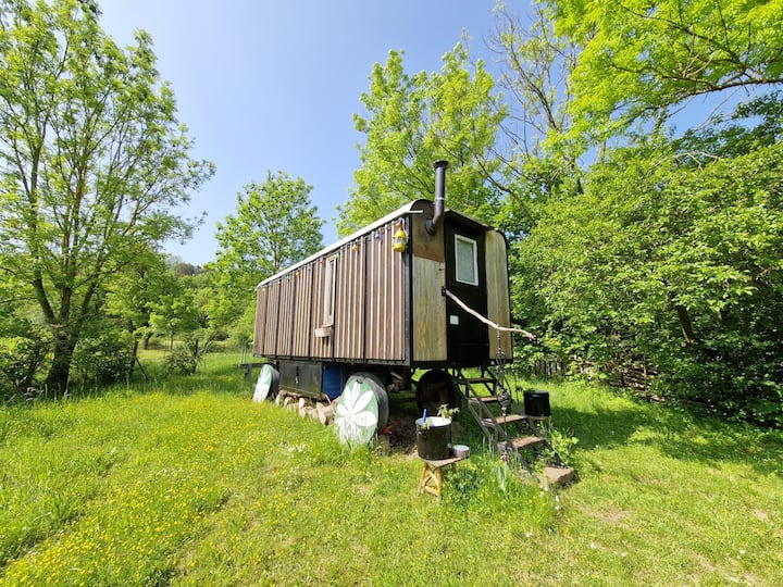 Bauwagen Am Wald - Harz