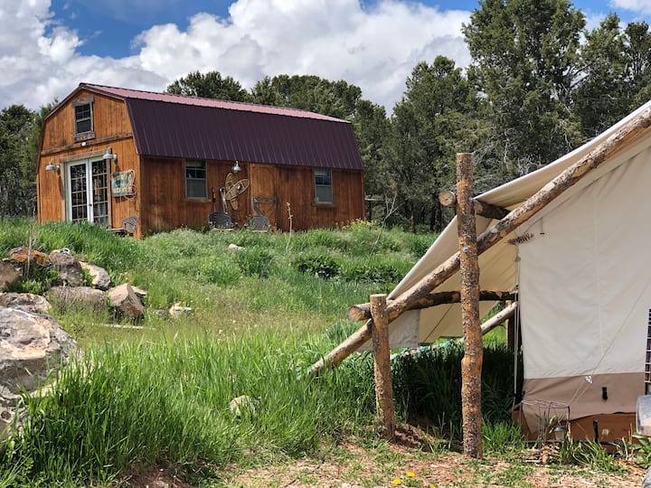 Cabin On The Farm With Horses And Beautiful Views - Carbondale, CO