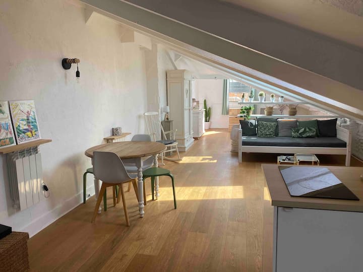 Appartement Cosy Sous Les Toits - Hypercentre Clim - Nice