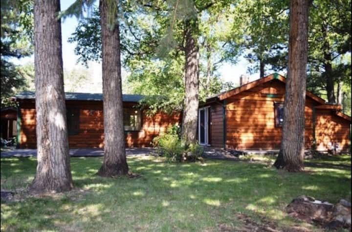Cozy Cabin On The River #6024 - Estes Park, CO