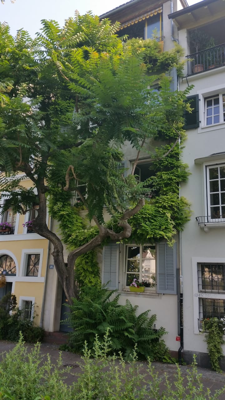 Bijou Direkt Am Rhein - Basel