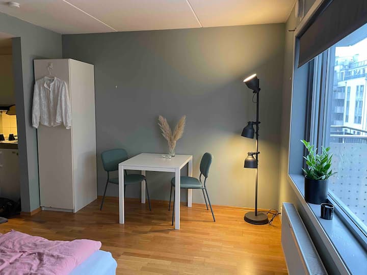 Hyggelig Og Sentral 1-roms - Oslo