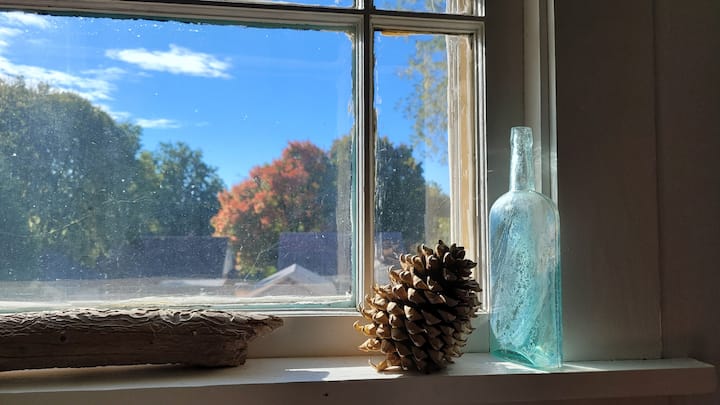 The Studio With Queen Bed - Rockford, IL