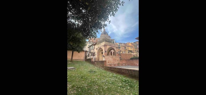 Nel Cuore Della Città - Siena