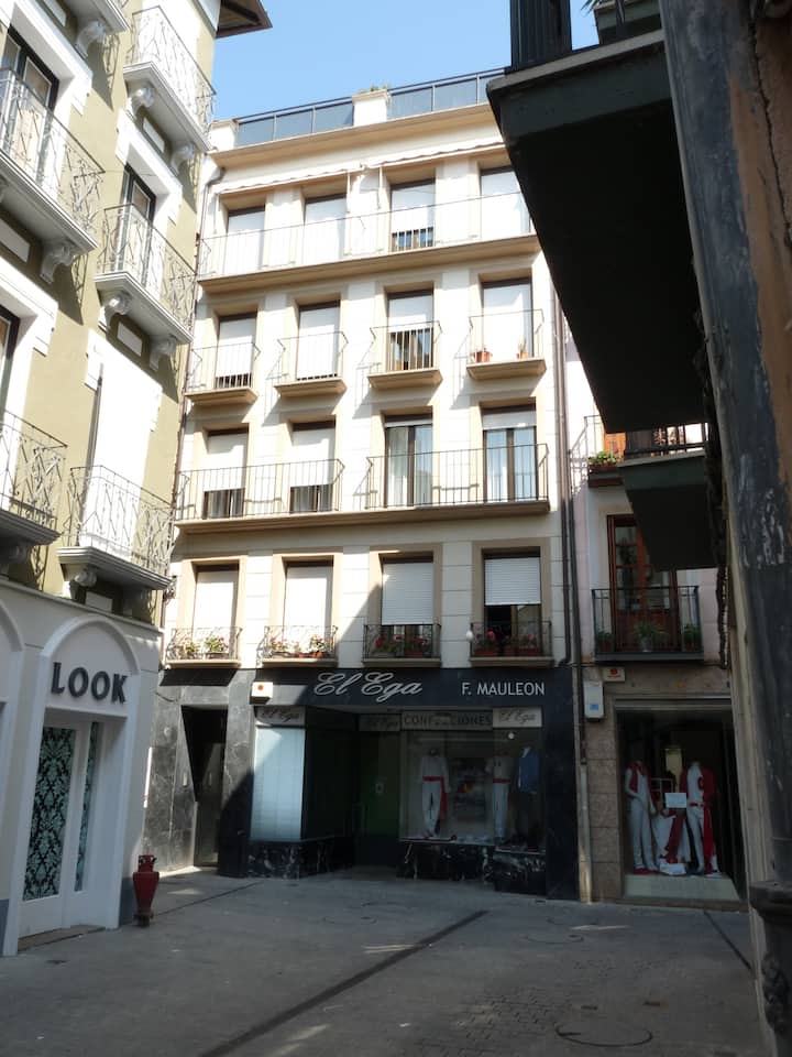 Una Casa Con Vistas En Estella - Estella