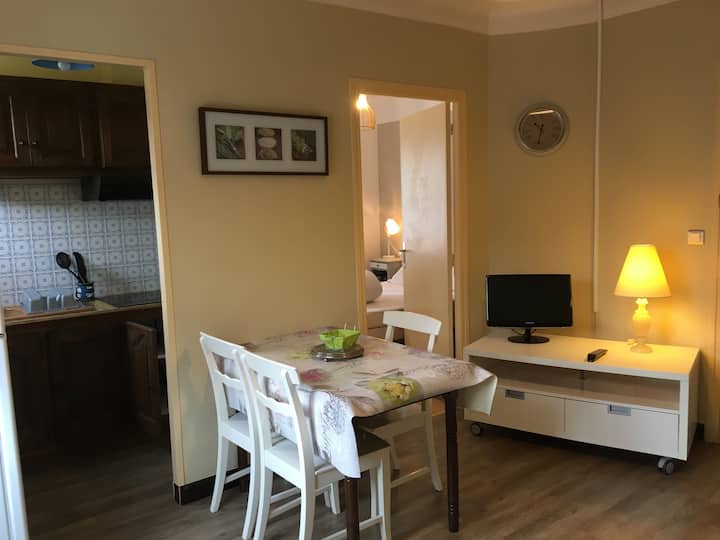 F1 Tout Confort Amélie Les Bains - Arles-sur-Tech