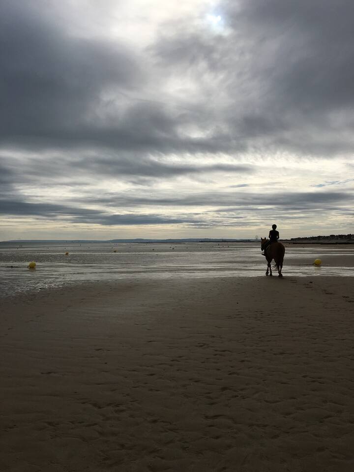 Agréable  F2 50 M De La Mer - Plage Luc-sur-Mer