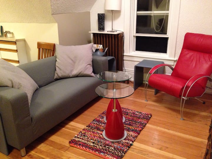 Sunny & Central Loft With Parking! - Winnipeg