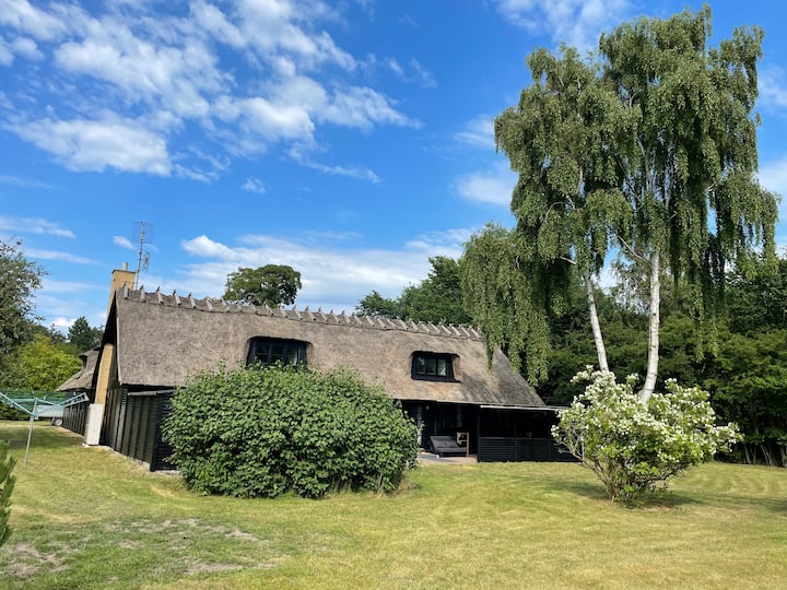 Sommeridyl - Denemarken