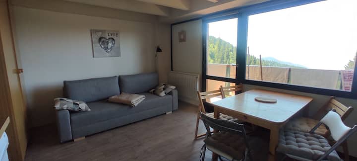 Studio 5 Personnes Vue Vercors Au Pied Des Pistes. - Chamrousse