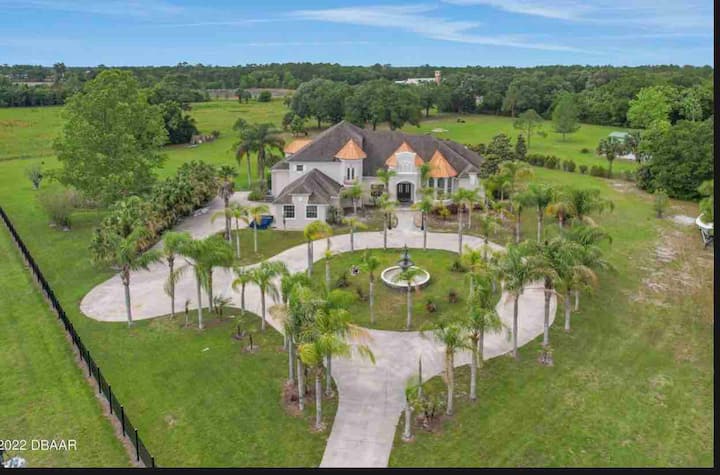 King Or Queen For A Day ! - DeLand, FL