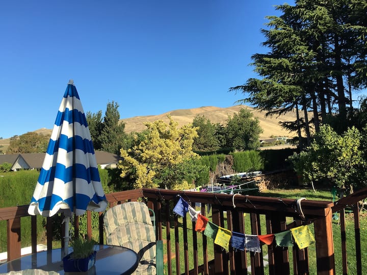 Feel At Home In Welcoming, Park Like Setting. - Blenheim