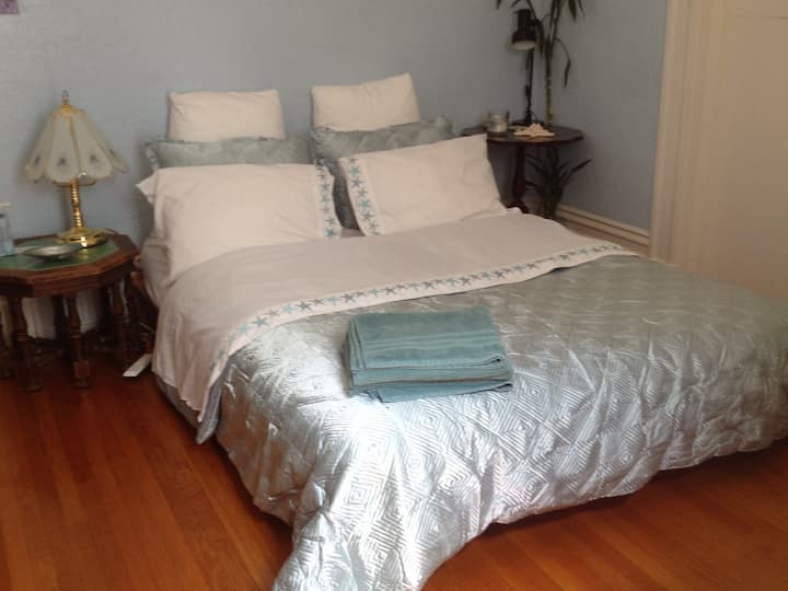 Ocean Beach Rm Classic 1906 Mission Victorian - San Francisco, CA