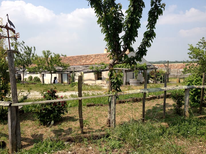 Maison Calme - Bord Des Marais - Proche Littoral - Marennes