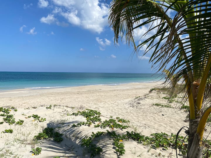 Apartment  “Mar”, Planta Baja. - Havana