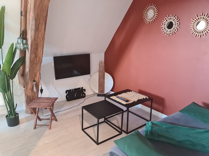 Studio Esprit Cocooning Belle Hauteur Sous Plafond - Gien