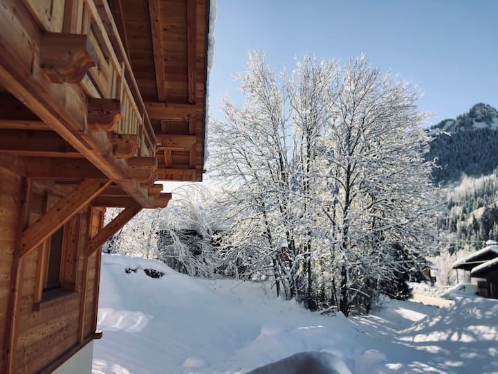 Chalet 12 P Chapelle Châtel Spa - Billard - Châtel