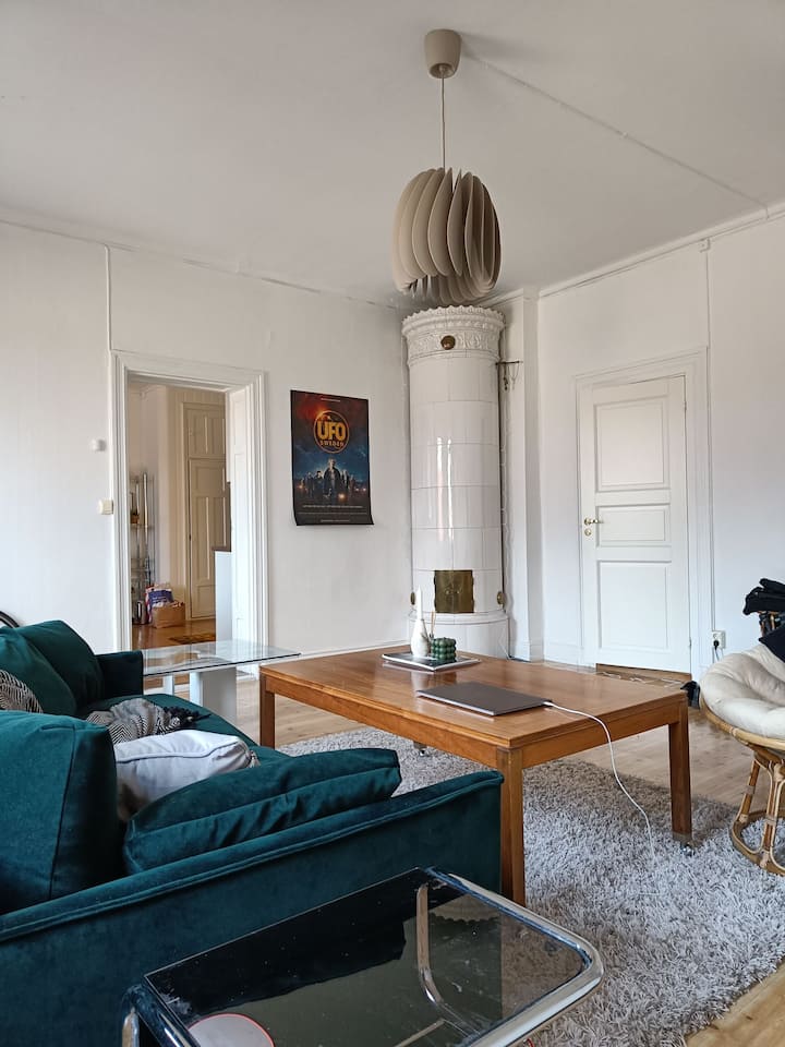 Beautiful Central Apartment. - Norrköping