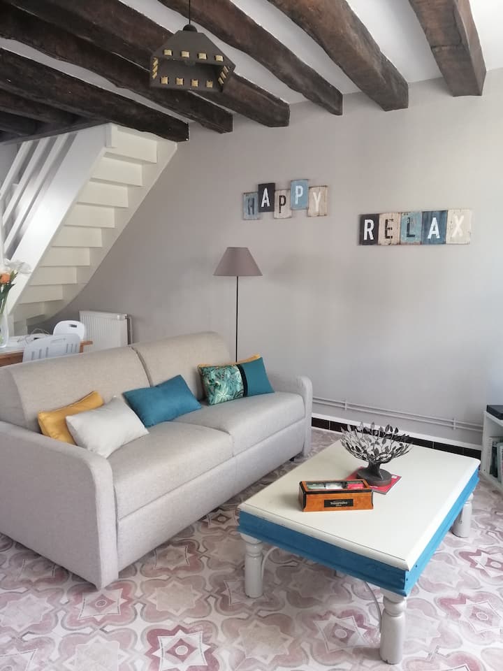 Au Coeur De Lignières - Langeais