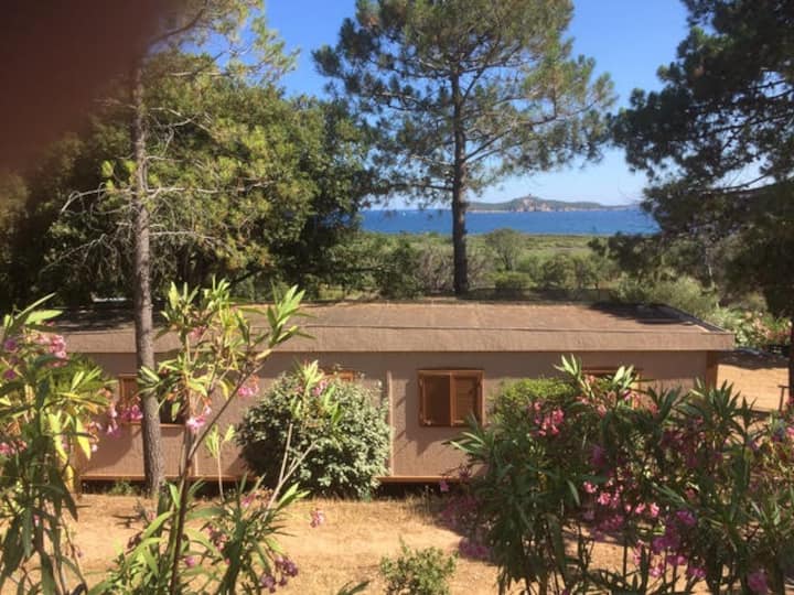 Corse Du Sud Mobil Home Pinarello - Pinarellu
