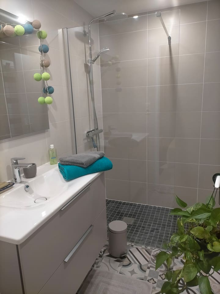 Maison Chaleureuse Avec Parking Gratuit, Au Calme - Grenoble