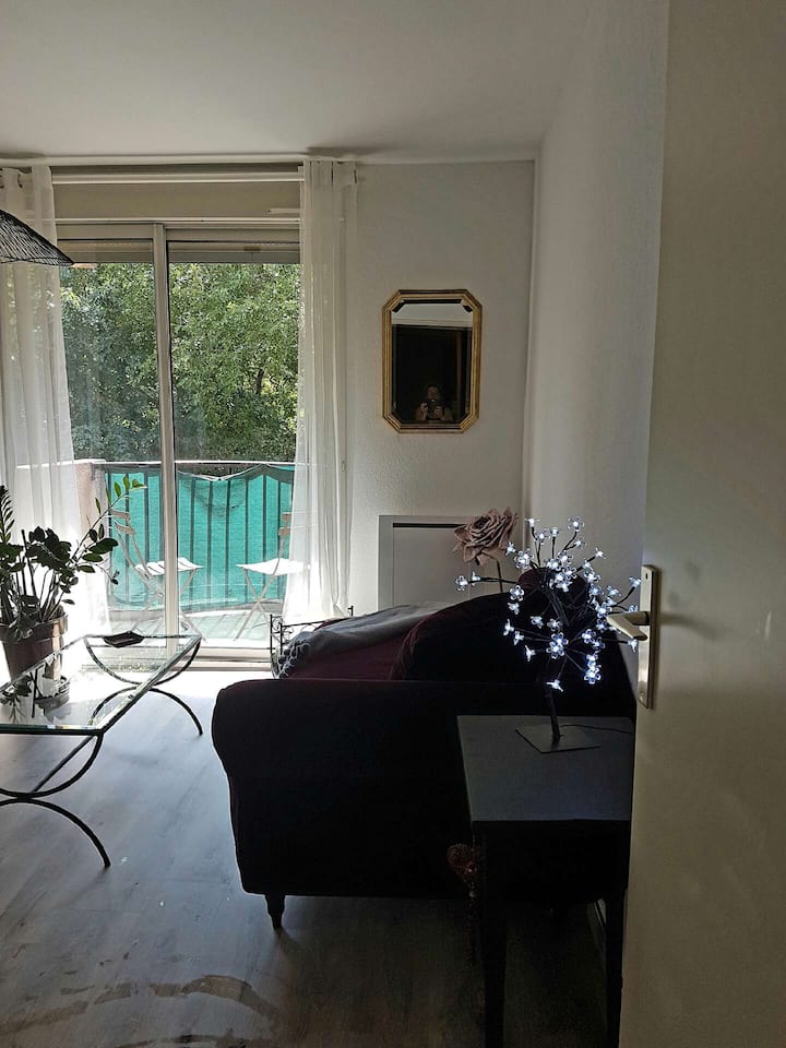 T1 Bis Confortable Et Calme -  Cité De L'espace - Castanet-Tolosan