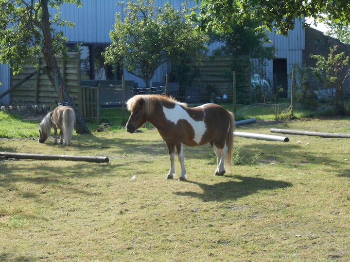 Sfeervolle B&b Met Ontbijt, Diner Mogelijk. - De Panne