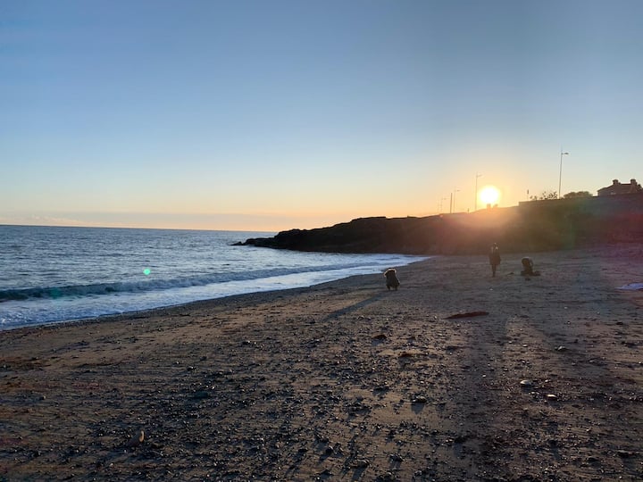 Tall Trees, Seaside And Nature Retreat - Greystones