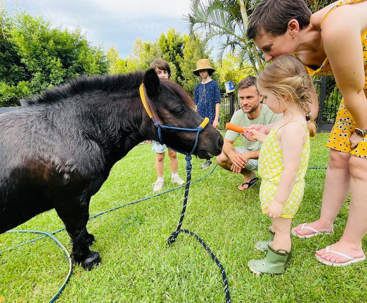 Brumbies Hollow Cabin Stay & Equine Experiences. - Australia