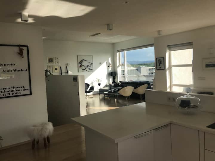 Spacious 4 Bedroom House - Reykjavík