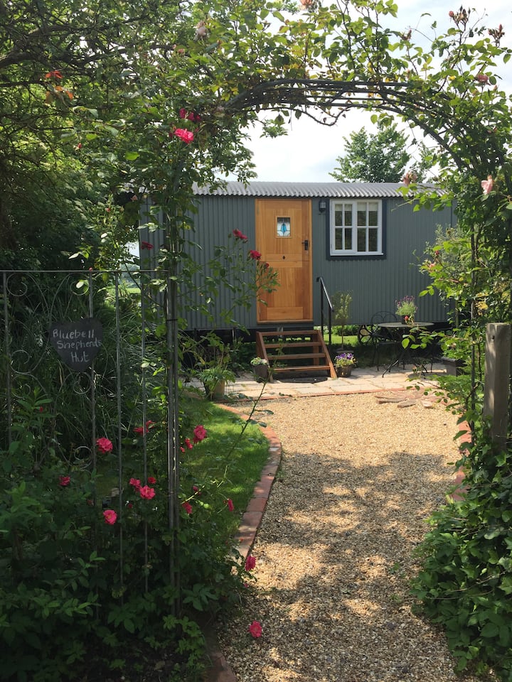 Bluebell Shepherds Hut, Goodwood - South Downs