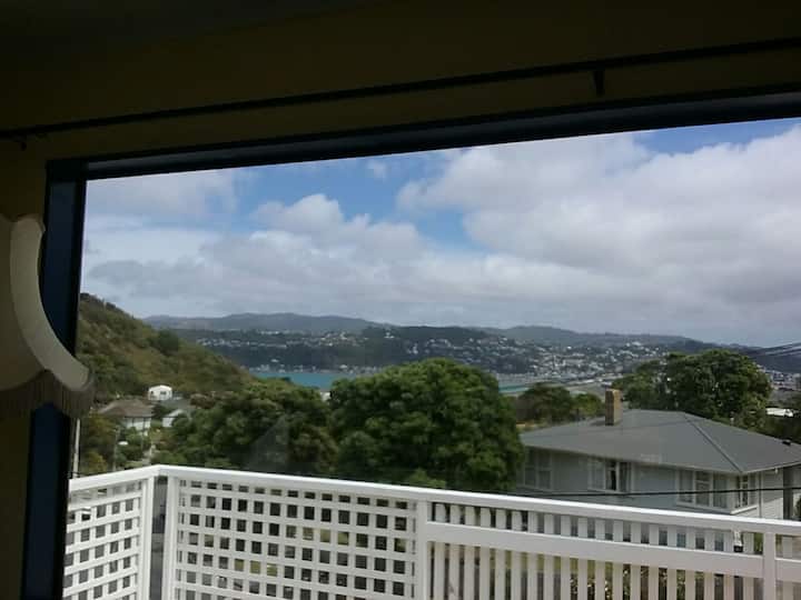 Amazing View From Cosy Home. - Wellington