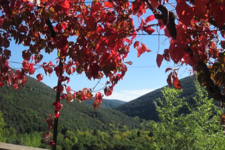 Magnanerie La Pellegrine, Charmant Cocon Cévenol - Parc national des Cévennes