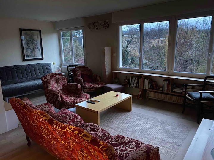 Chambre 1 Dans Quartier Calme - Laxou