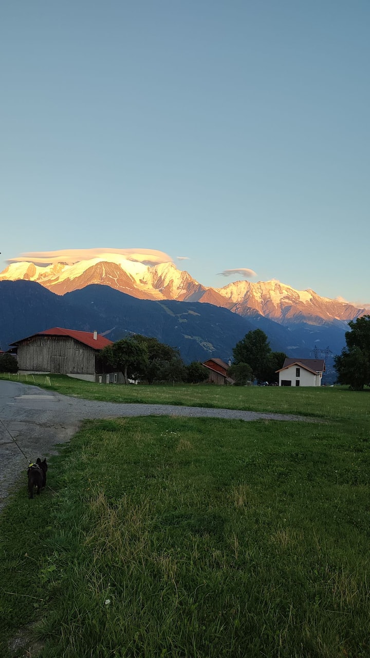 Face Au Mont Blanc - Passy