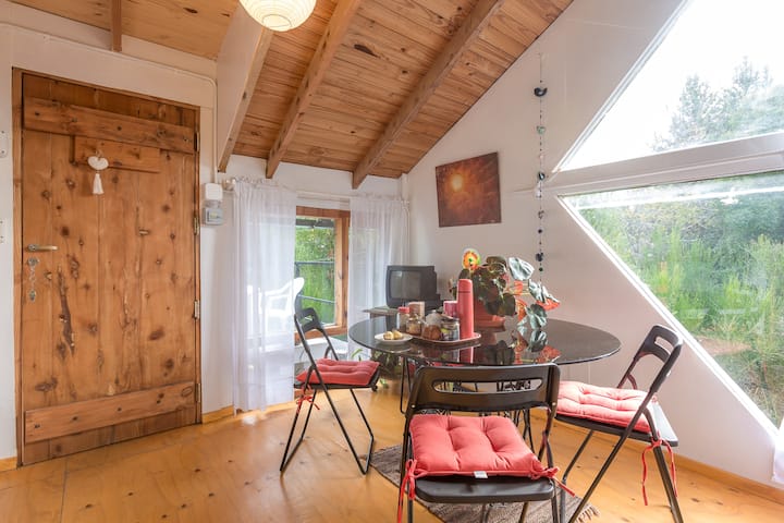 Arrayán.  Luminoso Y Acogedor Departamento - San Carlos de Bariloche