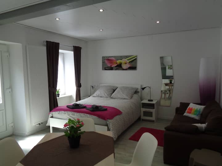 Studio Gîte Fischer Ottrott - Ottrott