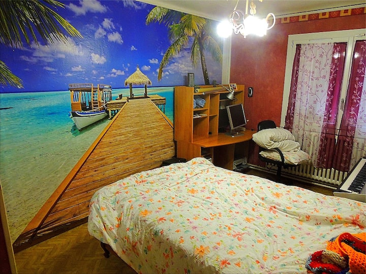 Chambre Chez L'habitant Avec Demi-pension - Bron