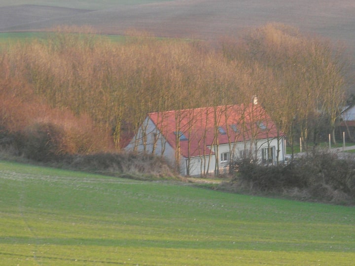 La Faisanerie - Calais