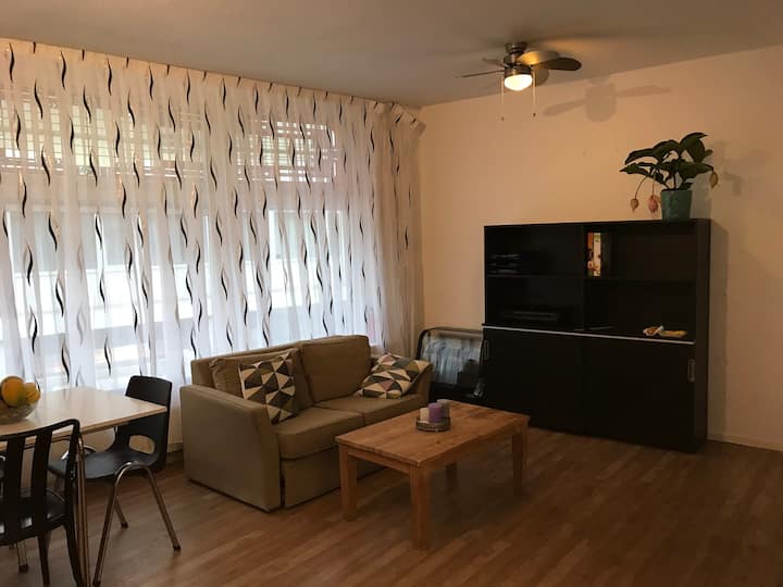 Entire Apartment Near Leiden Station /3min Walking - Leiden
