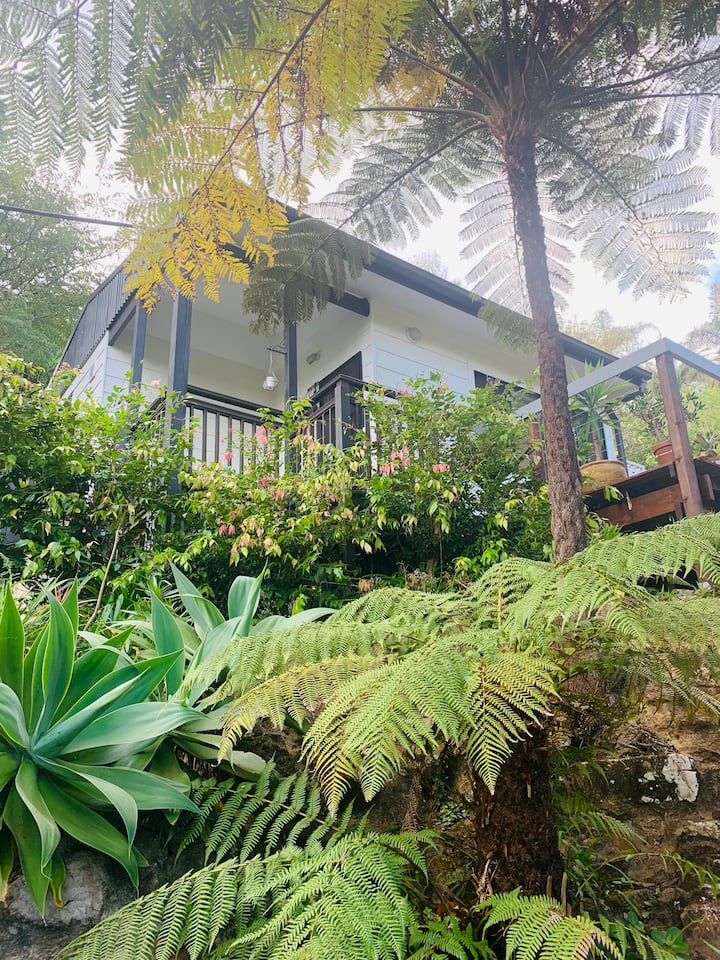 Emerald Beach Eucalyptus Cottage - 3 Nights Save - Emerald Beach