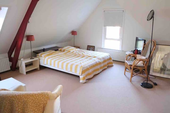 Spacious Attic, 22 Min From A'dam - ヒルフェルスム